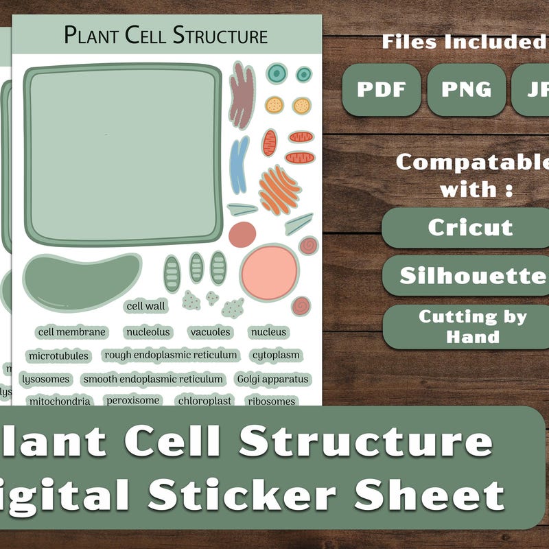 Plant Cell - Etsy