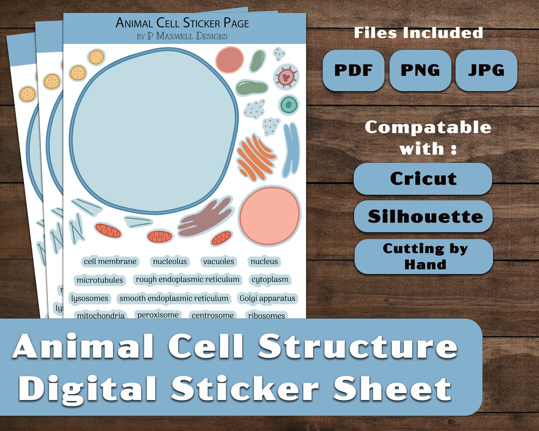 Animal Cell Structure Sticker Sheet: Homeschool Education (digital ...