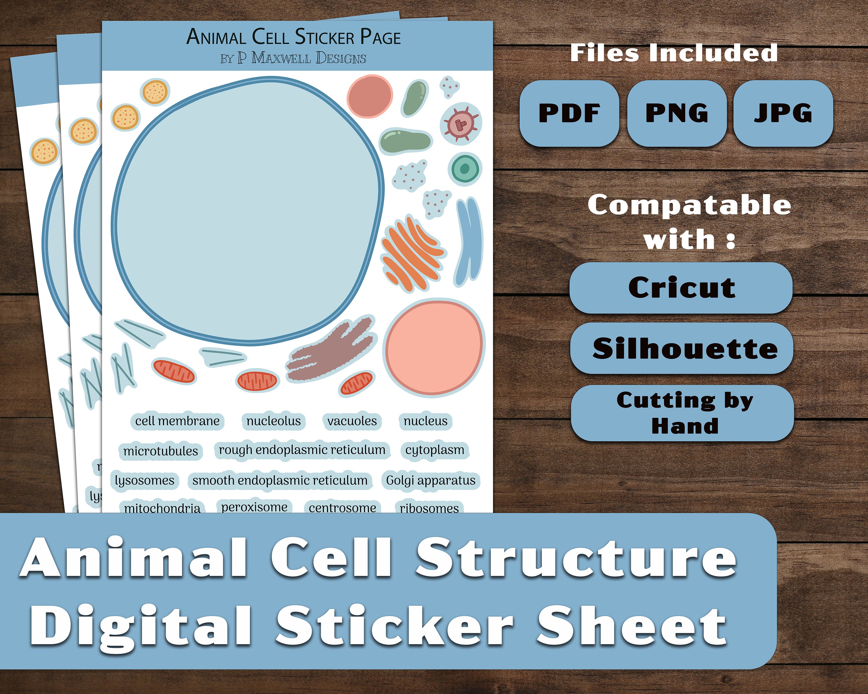 Animal Cell Structure Sticker Sheet: Homeschool Education (digital ...