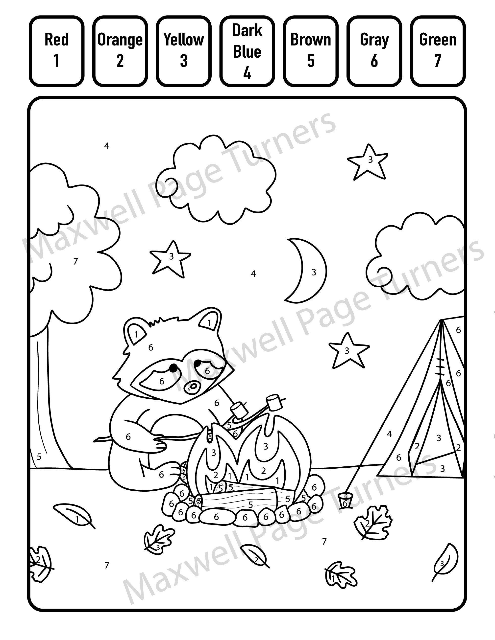 Raccoon Camping Color by Number Paint by Number Educational Digital ...