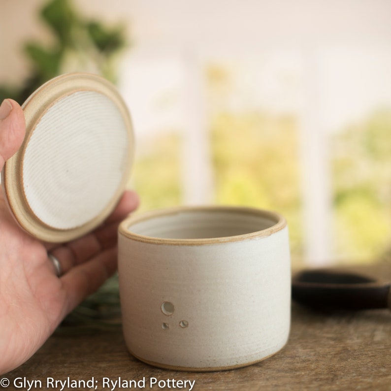 Garlic Keeper, Rustic Garlic and Ginger Pot - Etsy