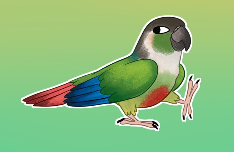 Cartoon Green Cheek Conure Vinyl Sticker - Etsy