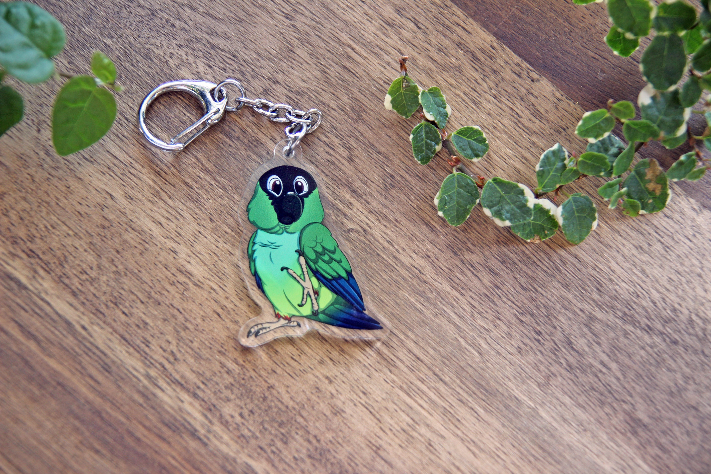 Cartoon Nanday Conure Acrylic Charm - Etsy
