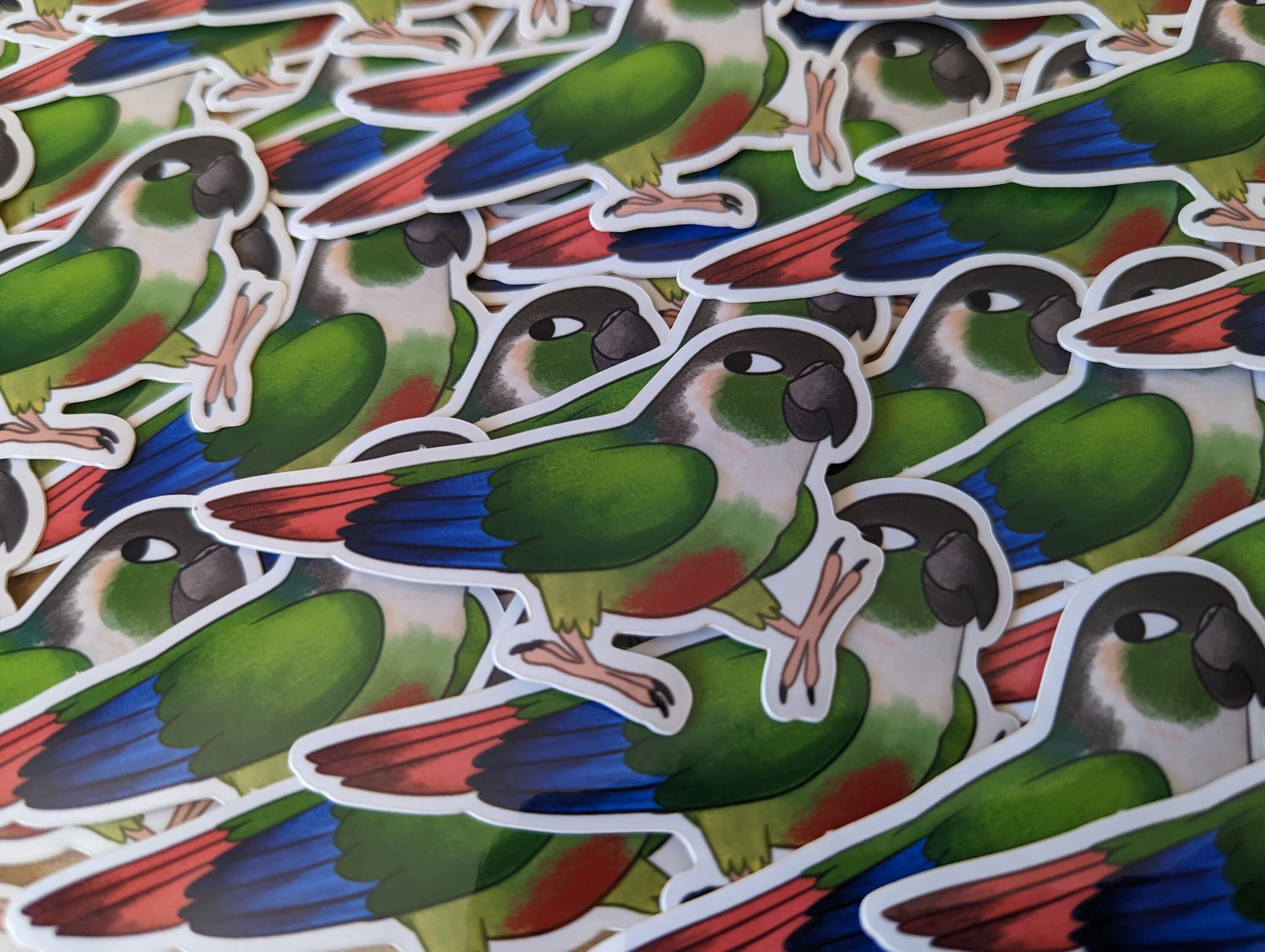 Cartoon Green Cheek Conure Vinyl Sticker - Etsy