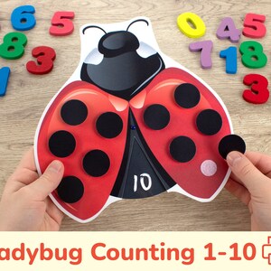 Ladybug Counting Activity. Numbers 1 to 10 Printable - Etsy