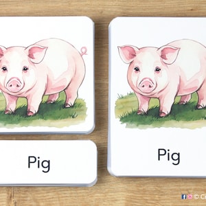 Farm Life Words Learning Flashcards. 3-part Cards Printable Activity ...