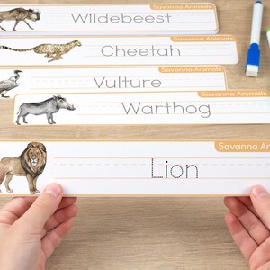 Savanna Grassland Animals Tracing Strips: Printable Educational ...