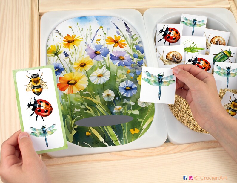 Meadow Insects Flisat Insert: Matching Activity for Sensory Table ...