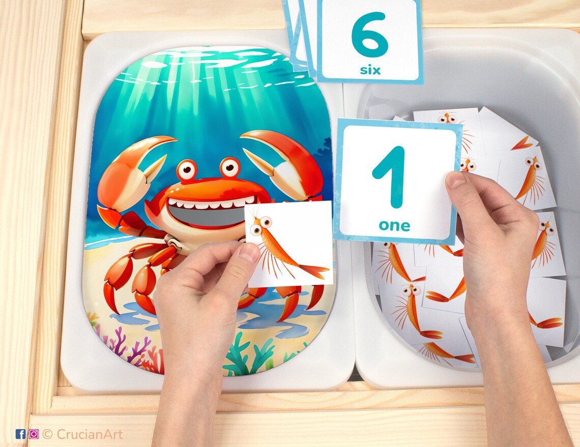 Feed the Crab Plankton Flisat Insert: Counting Activity for Sensory ...