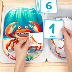 Feed the Crab Plankton Flisat Insert: Counting Activity for Sensory ...