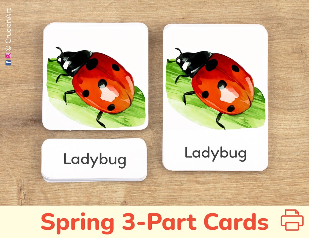 Spring Words 3-part Cards. Learning Flashcards Printable Activity ...