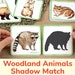 Woodland Animals Shadow Matching Activity: Toddler Printable Match ...
