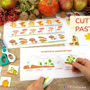 Fall Unit Printable. Autumn Preschool, Pre-k Learning Activities. - Etsy