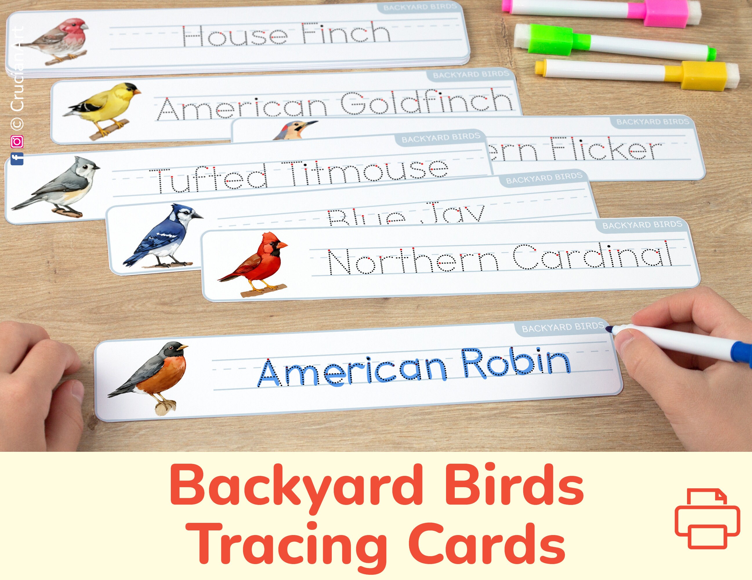 North American Backyard Birds Tracing Cards. Printable Learning ...