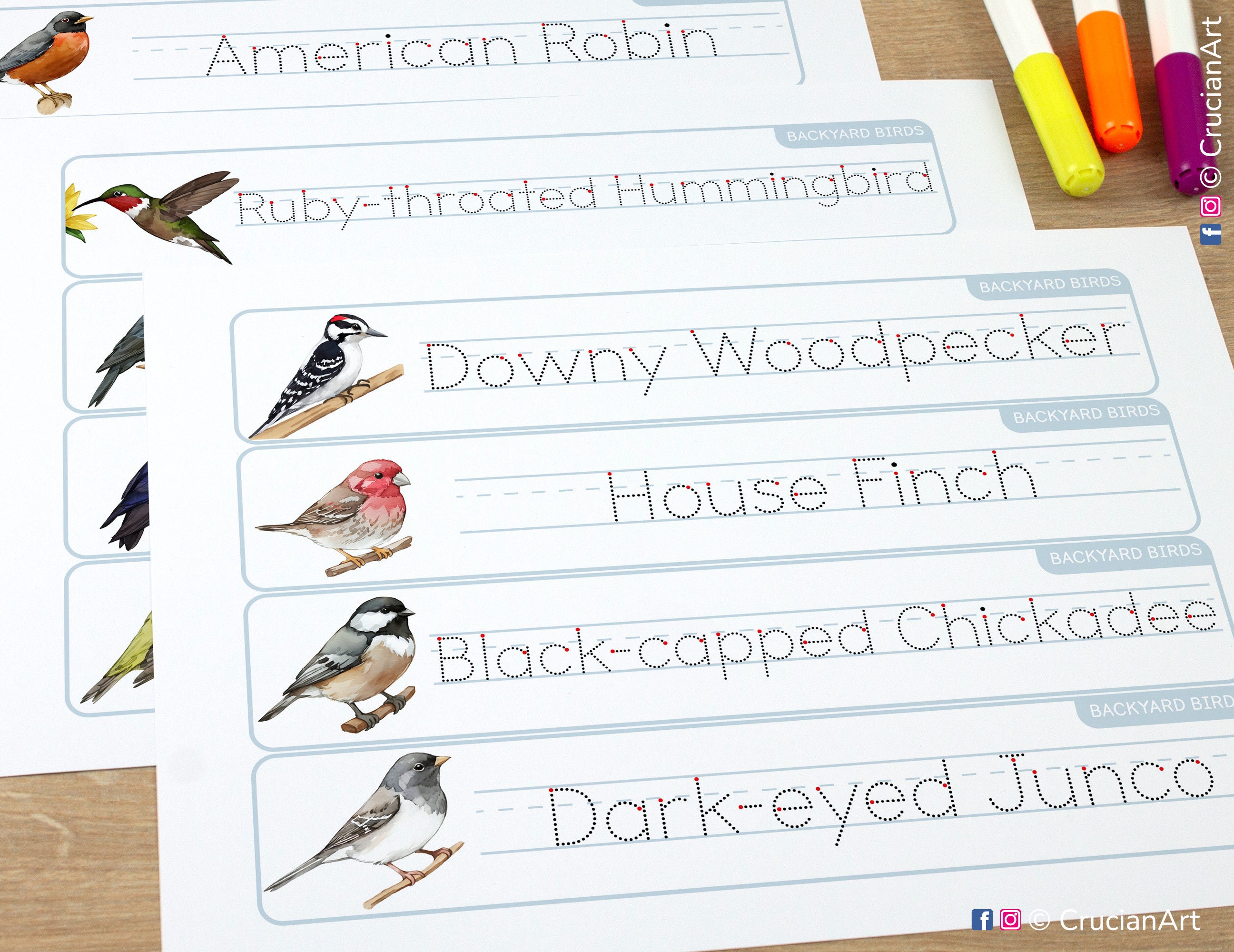North American Backyard Birds Tracing Cards. Printable Learning ...