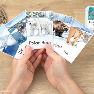 Polar Animals Bingo Game: Printable Preschool, Kindergarten, Toddler ...