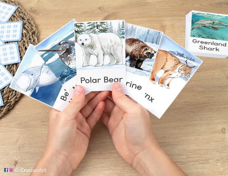 Polar Animals Bingo Game: Printable Preschool, Kindergarten, Toddler ...