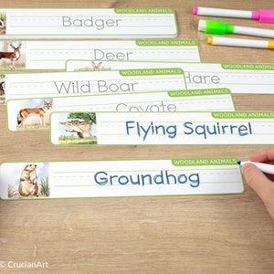 Woodland Animals Handwriting Worksheets: Printable Vocabulary Activity ...