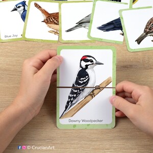 North American Backyard Birds Puzzle Pairs: Toddler Learning Activity ...