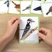 North American Backyard Birds Puzzle Pairs: Toddler Learning - Etsy