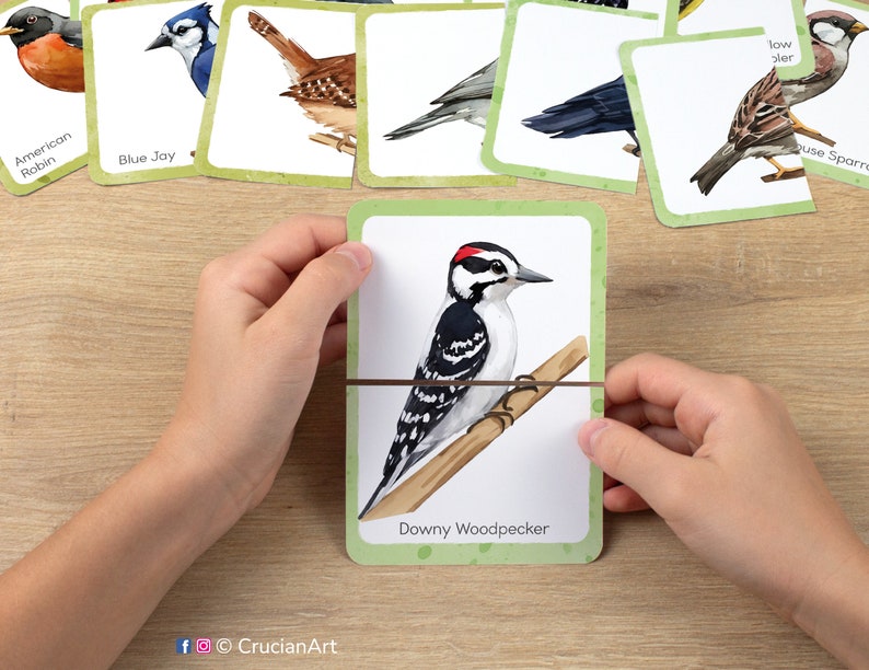 North American Backyard Birds Puzzle Pairs: Toddler Learning Activity ...