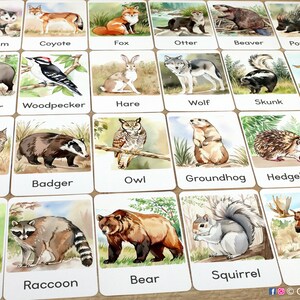 Woodland Animals Flashcards: Toddler Preschool Kindergarten Printable ...
