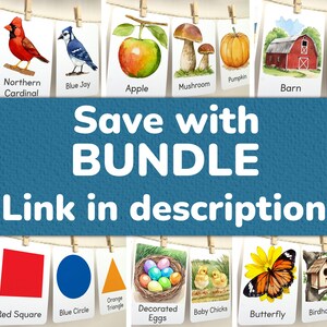 Woodland Animals Flashcards: Toddler Preschool Kindergarten Printable ...