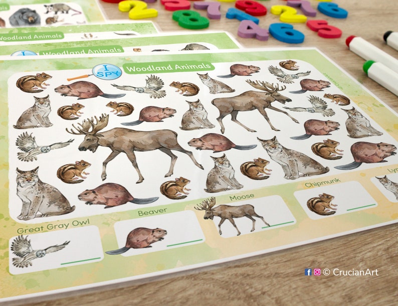 Woodland Animals I Spy Counting Activity. Preschool Learning Worksheets ...