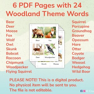 Woodland Animals Flashcards: Toddler Preschool Kindergarten Printable ...