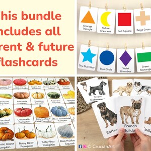 Flashcards Growing Bundle: Set of Printable Flash Cards for Toddler ...