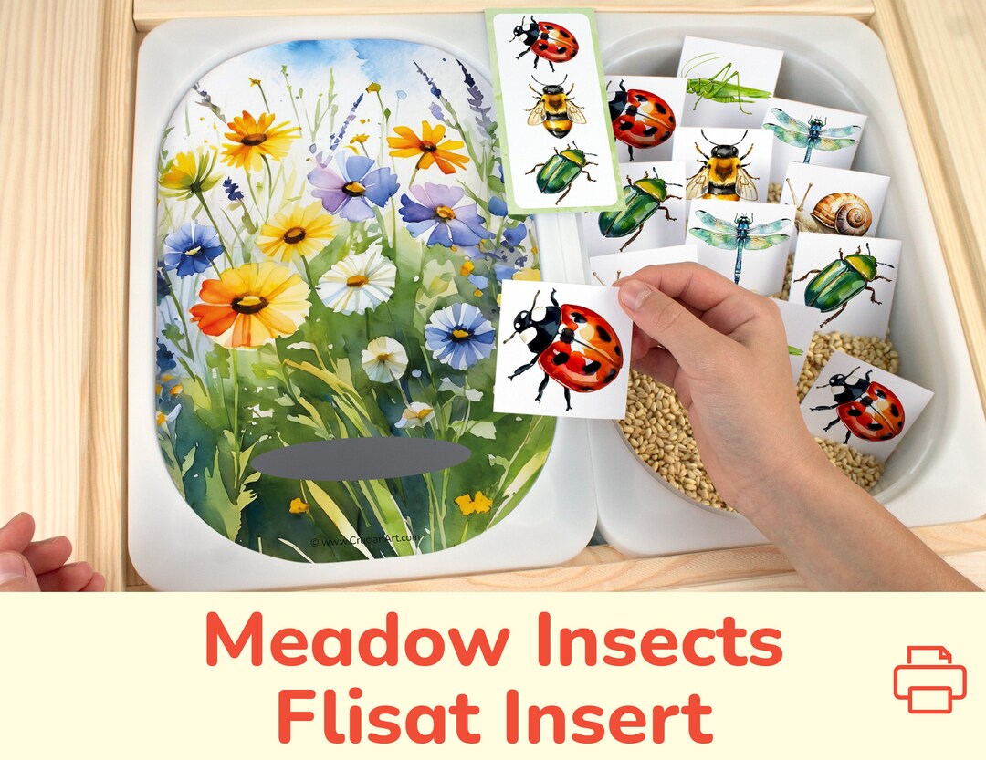Meadow Insects Flisat Insert: Matching Activity for Sensory Table ...