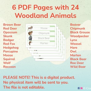 Woodland Animals Tracing Strips: Printable Educational Activities ...