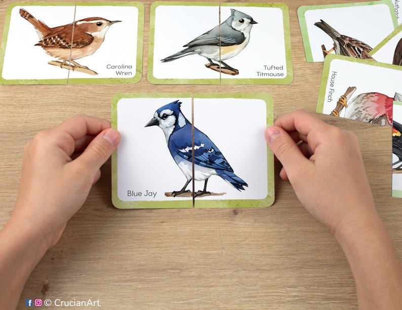 North American Backyard Birds Puzzle Pairs: Toddler Learning Activity ...