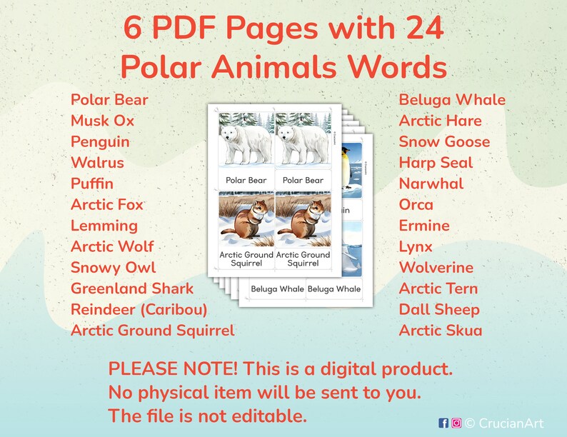 Polar Animals Three-part Cards: Visual Cards and Words Matching ...