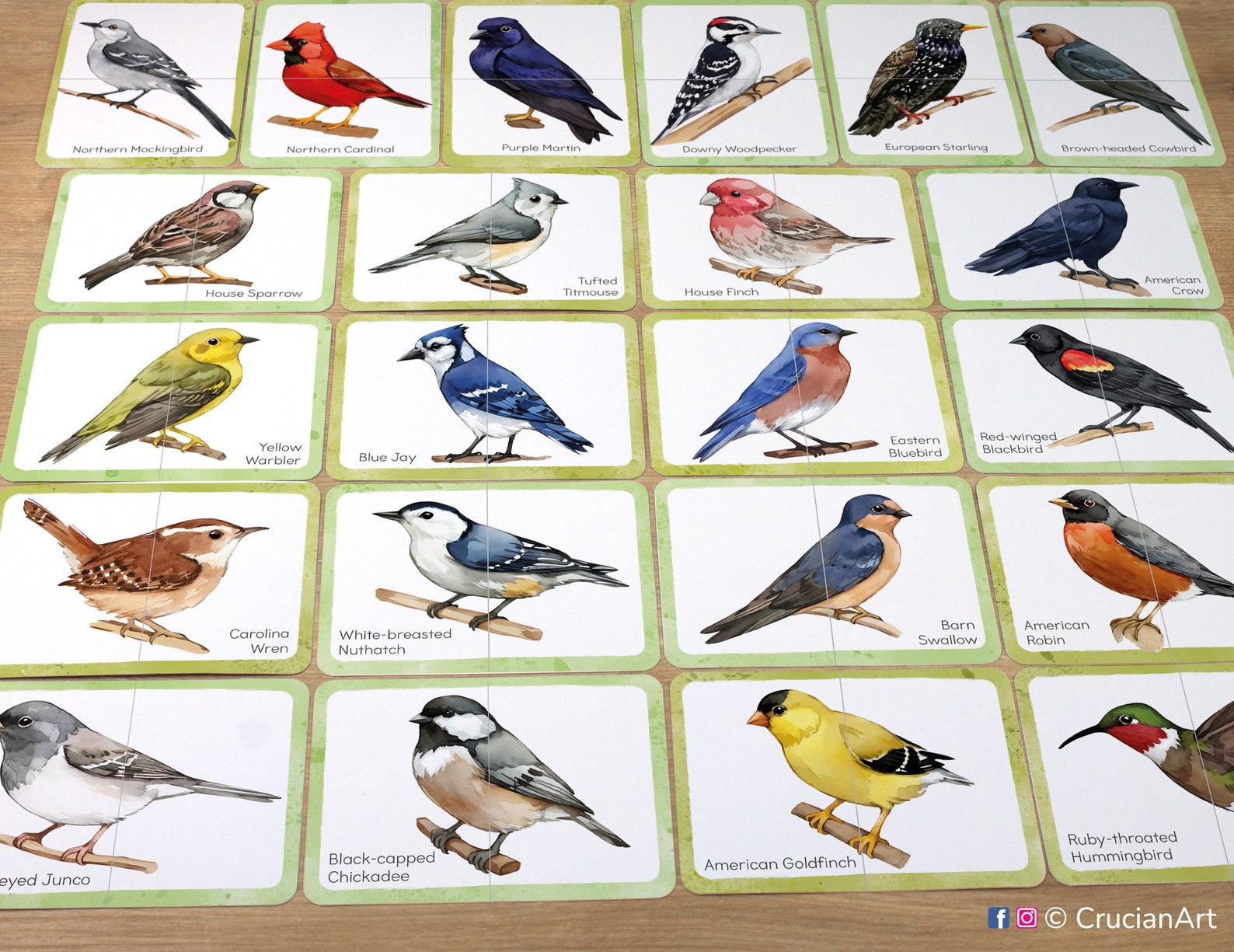 North American Backyard Birds Puzzle Pairs: Toddler Learning Activity ...