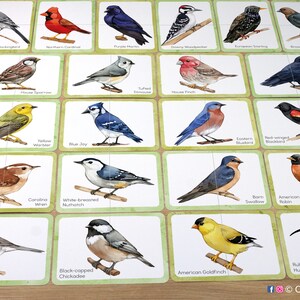 North American Backyard Birds Puzzle Pairs: Toddler Learning Activity ...