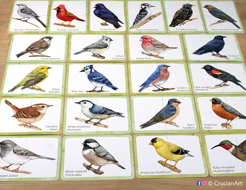 North American Backyard Birds Puzzle Pairs: Toddler Learning Activity ...