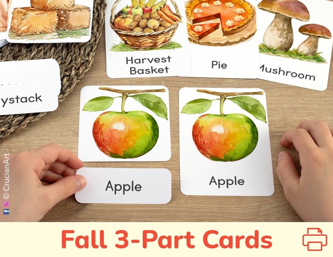 Fall Themed 3-part Cards: Visual Cards & Words Matching. Autumn ...