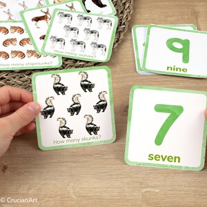 Woodland Animals Counting Activity: Printable Matching Cards. Preschool ...