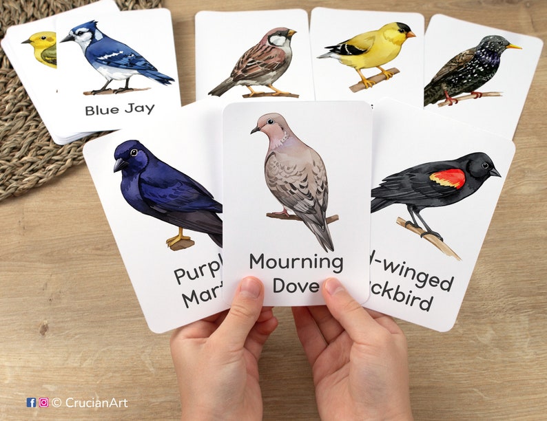 North American Backyard Birds Flash Cards. Printable Learning Materials ...