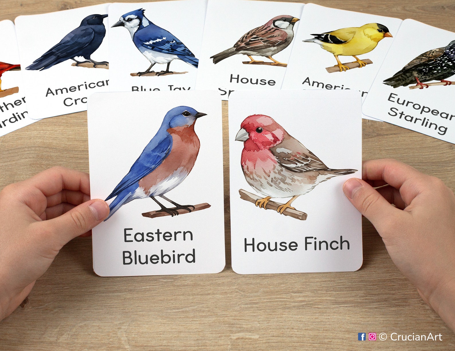 North American Backyard Birds Flash Cards. Printable Learning Materials ...