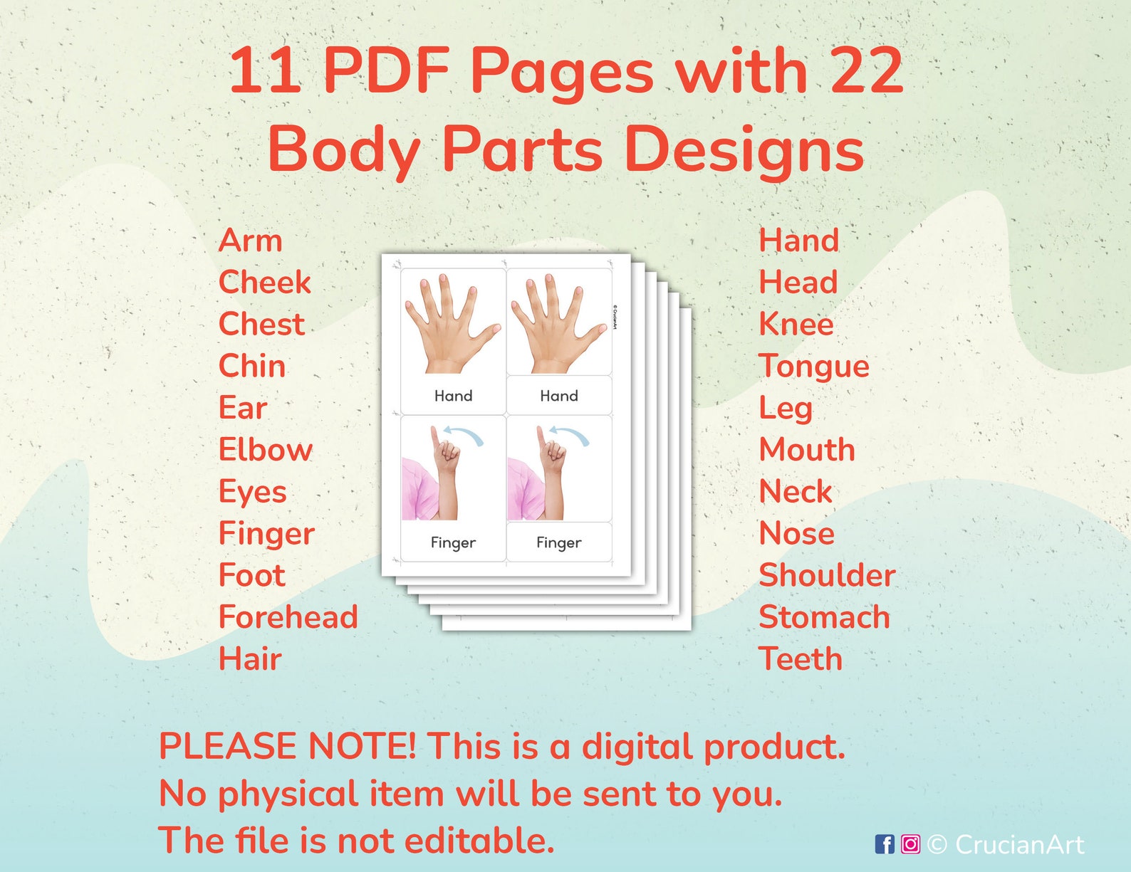 Body Parts 3-part Cards, Girl Version. Body Identification Printable ...