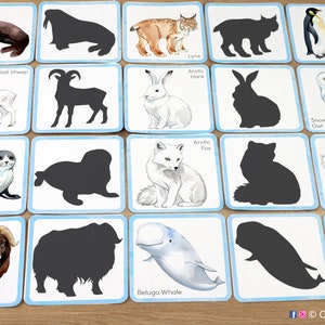 Arctic Animals Shadow Matching Activity: Printable Match Cards for ...