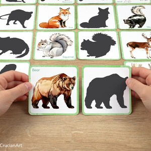 Woodland Animals Shadow Matching Activity: Toddler Printable Match ...
