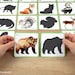Woodland Animals Shadow Matching Activity: Toddler Printable Match ...