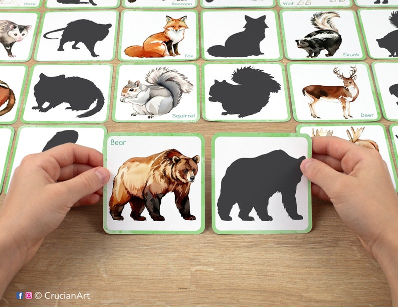 Woodland Animals Shadow Matching Activity: Toddler Printable Match ...