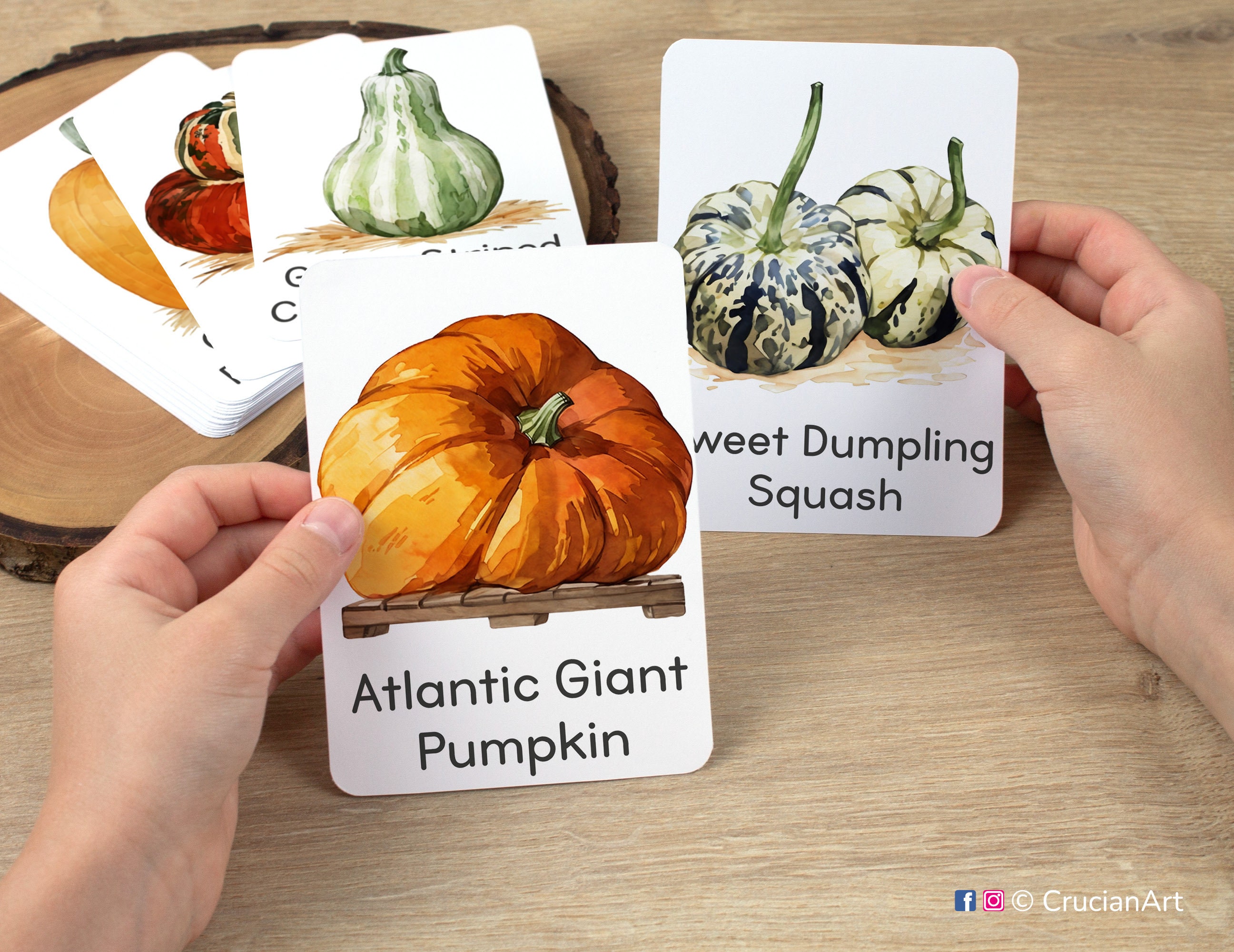 Pumpkin & Squash Flashcards: Seasonal Visual Cards for Fall Education ...