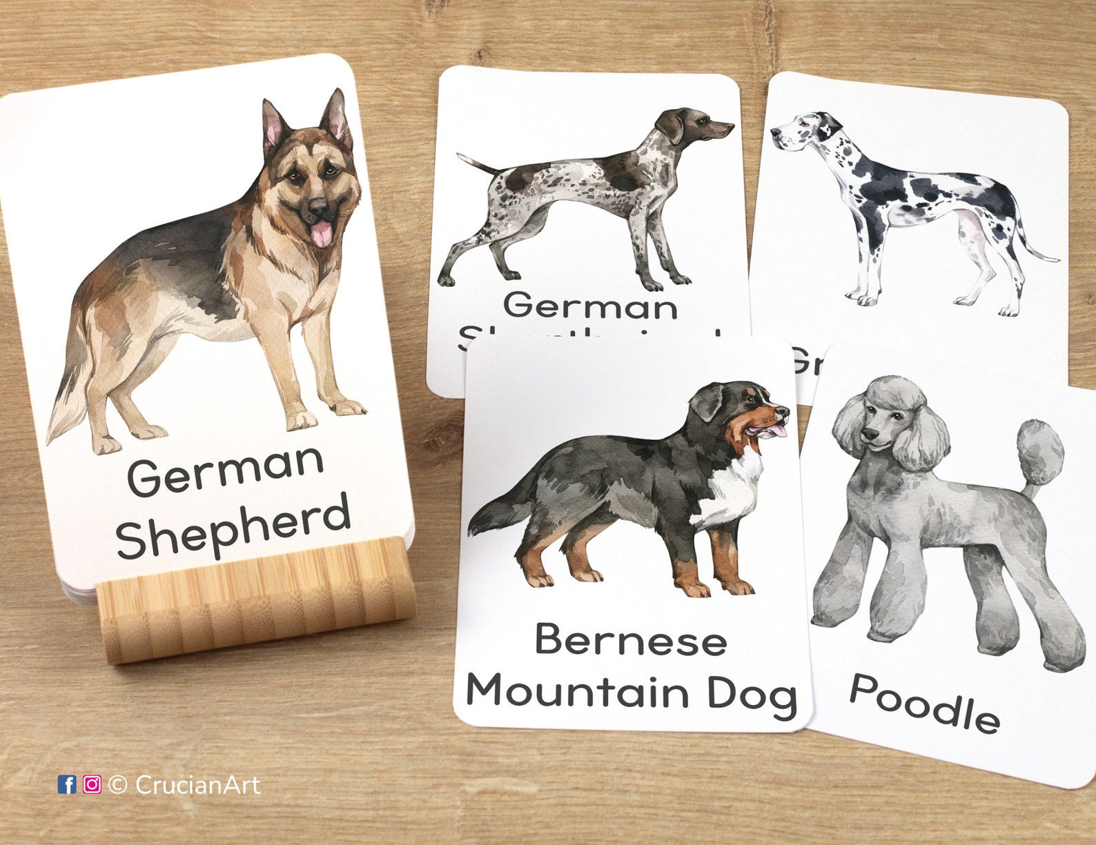 Dog Breeds Flashcards: Set of Printable Flash Cards. Preschool Learning ...