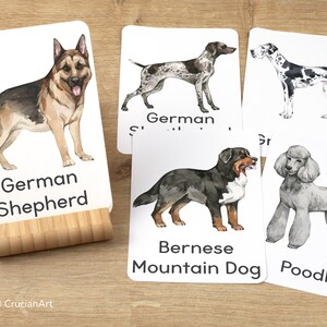 Dog Breeds Flashcards: Set of Printable Flash Cards. Preschool Learning ...