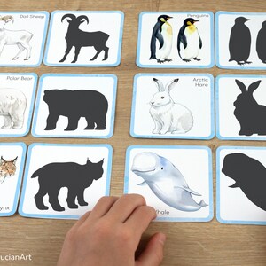 Arctic Animals Shadow Matching Activity: Printable Match Cards for ...